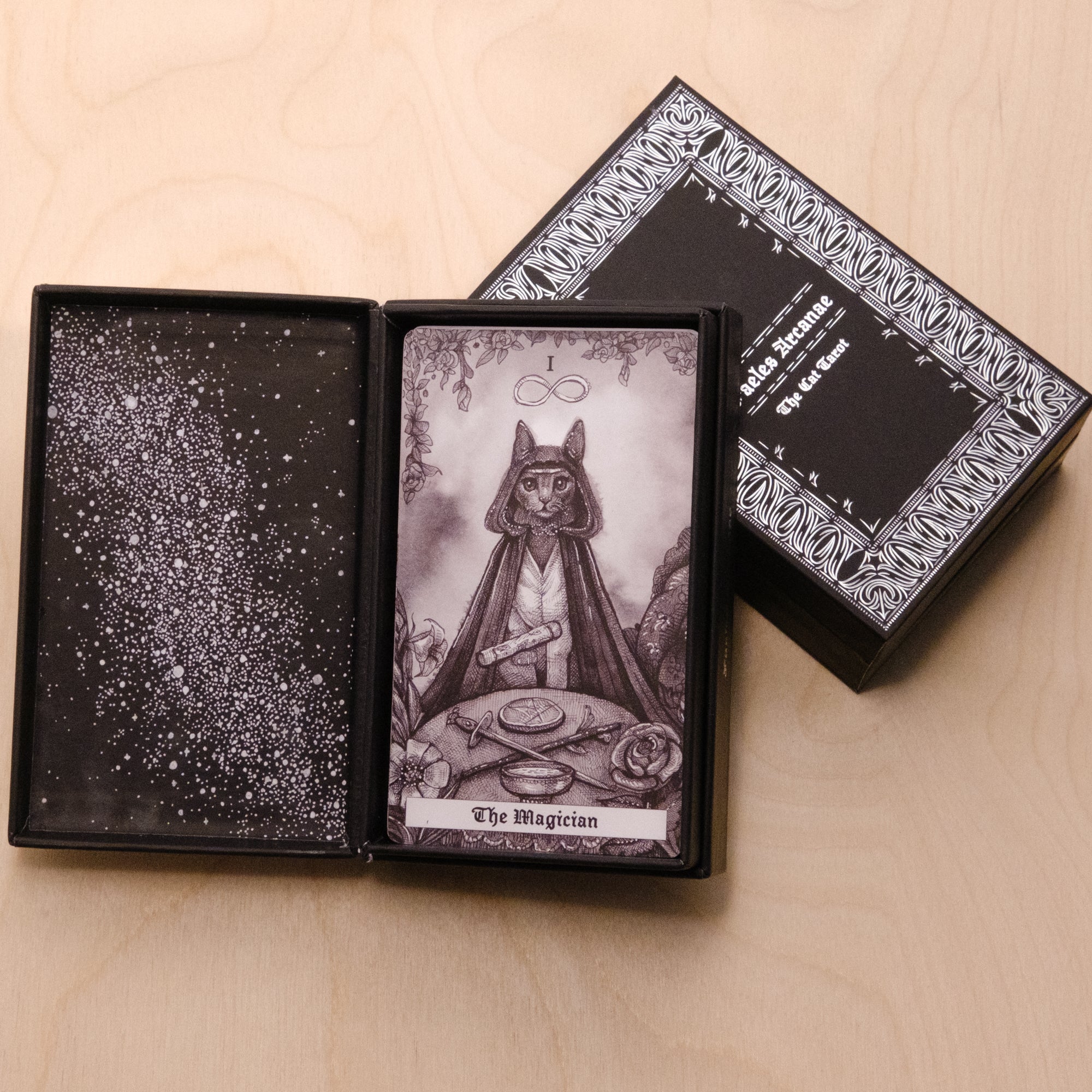 Faeles Arcanae | The Cat Tarot Deck – Taylor Bryn